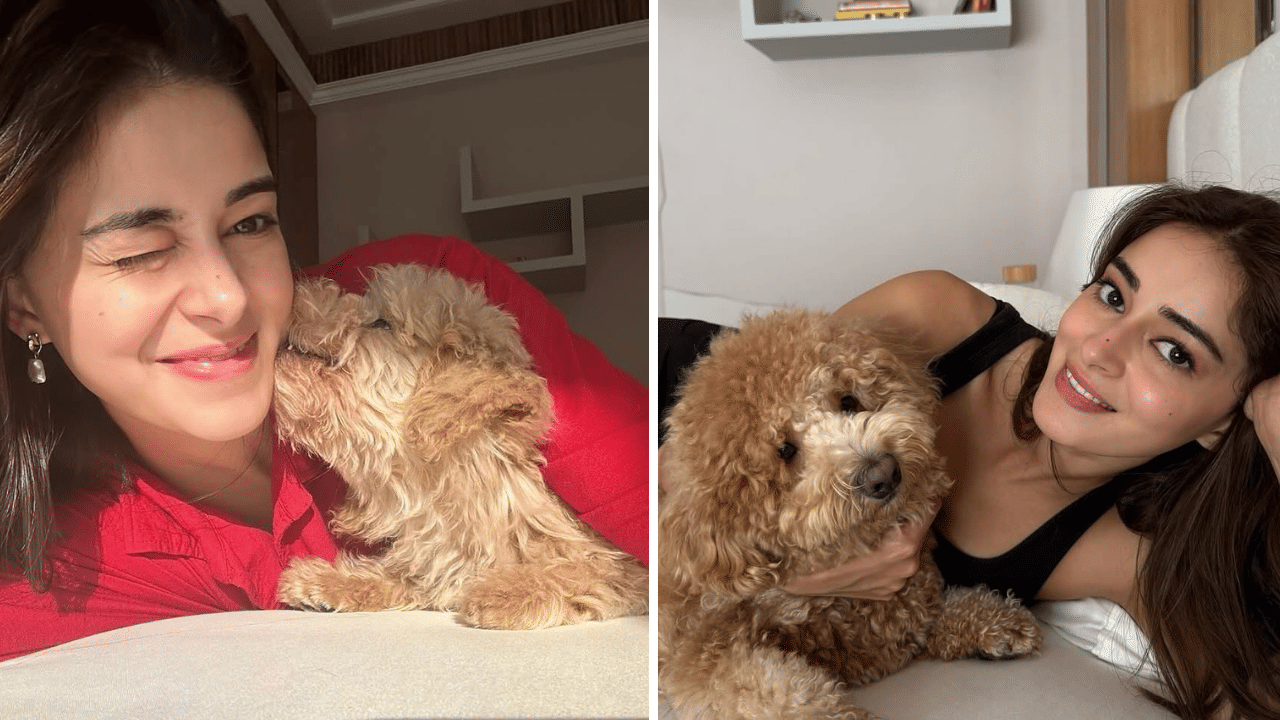 Bollywood celebrities and their pets: Famous Indian stars who are proud ...