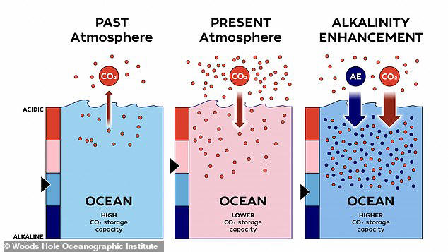 Scientists pump 65,000 litres of chemicals into the ocean to stop ...