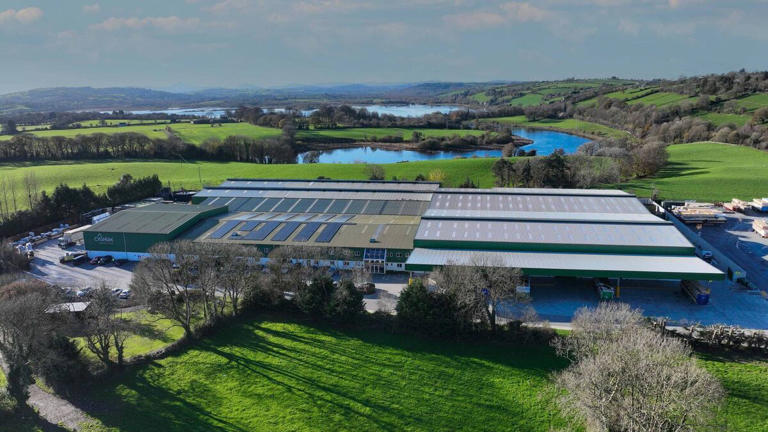 Woodies' owner announces acquisition of Cork timber frame firm