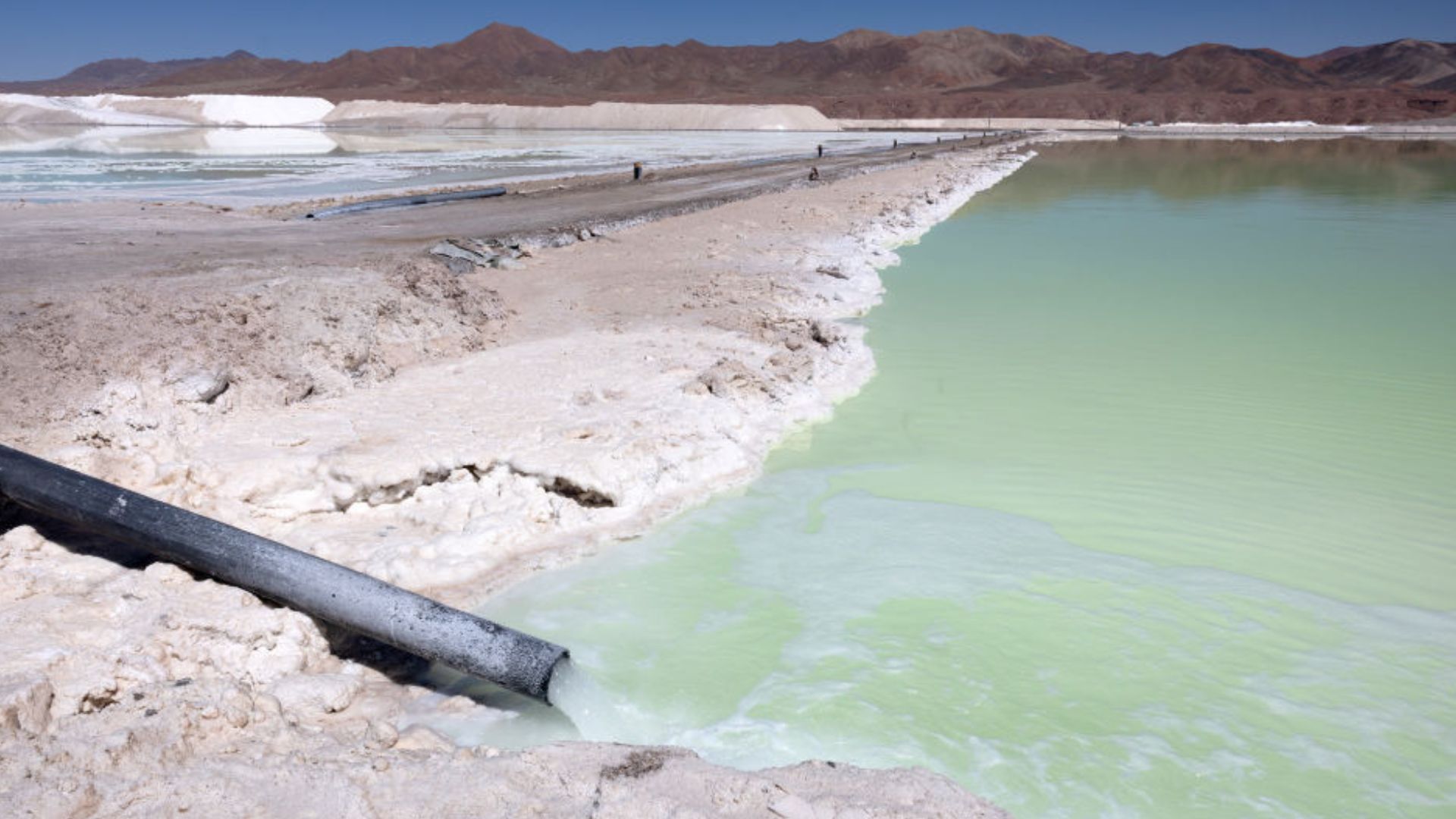 Scientists use toxic 'forever chemicals' to extract 99% pure battery ...