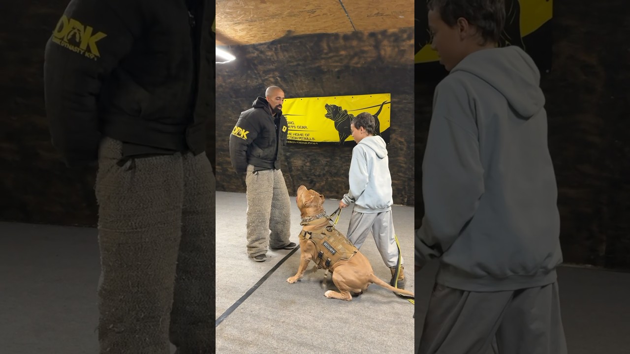 Talented dog is hiding a very strange and secret skill