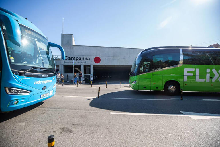 Guerra dos autocarros: tribunal dá razão à FlixBus, Rede Expressos ...