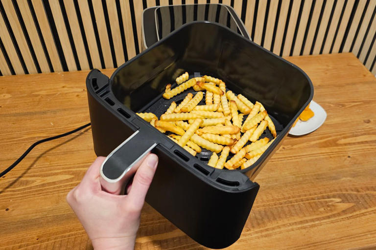 Die besten Heißluftfritteusen für Pommes im Test