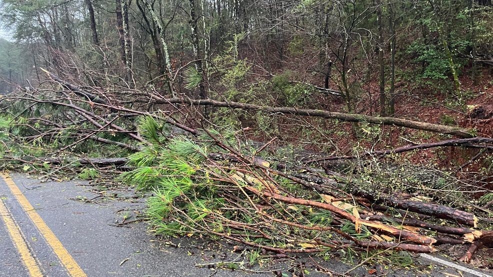 NWS to survey storm damage in central Alabama after severe weather