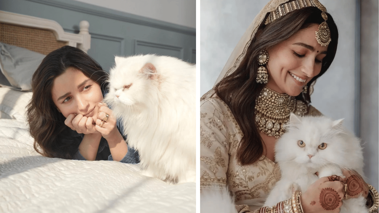 Bollywood celebrities and their pets: Famous Indian stars who are proud ...