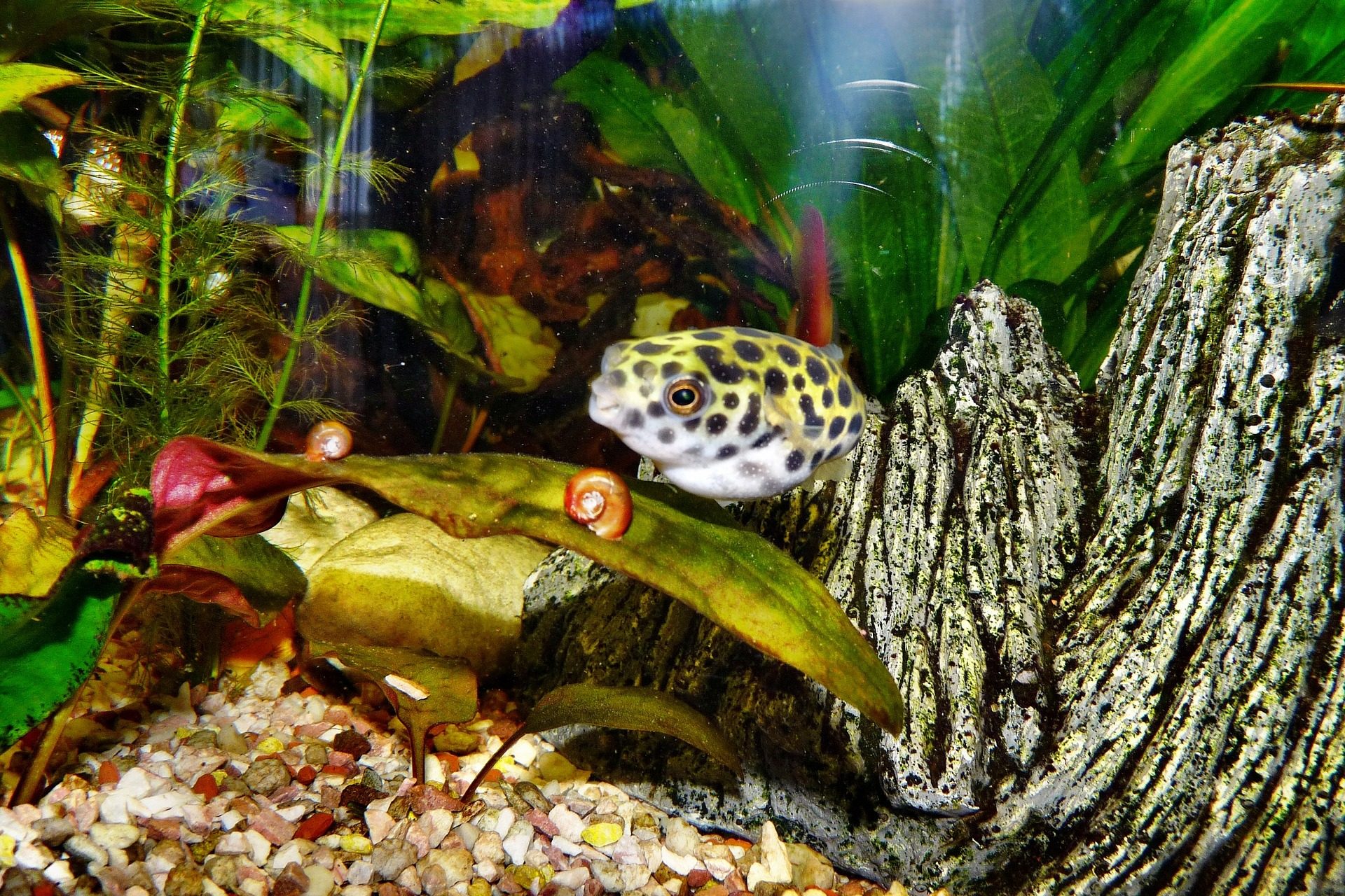 These adorable animals hide a dangerous side