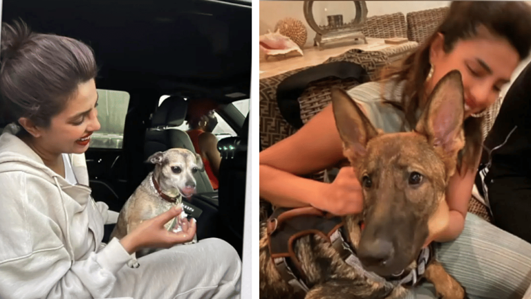 Bollywood celebrities and their pets: Famous Indian stars who are proud ...