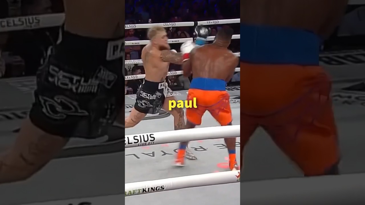 Jake Paul knocked out a pro boxer #jakepaul #ksi