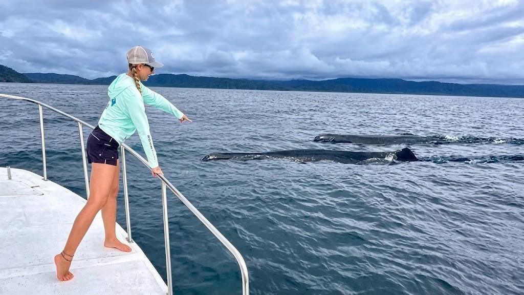 They went fishing for dorado… then the ocean surprised them
