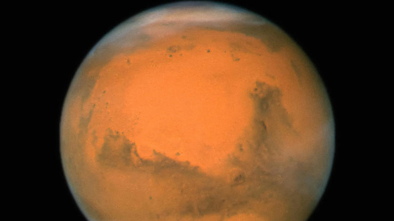 Test shows hardy bacteria can survive Mars-like impact launch