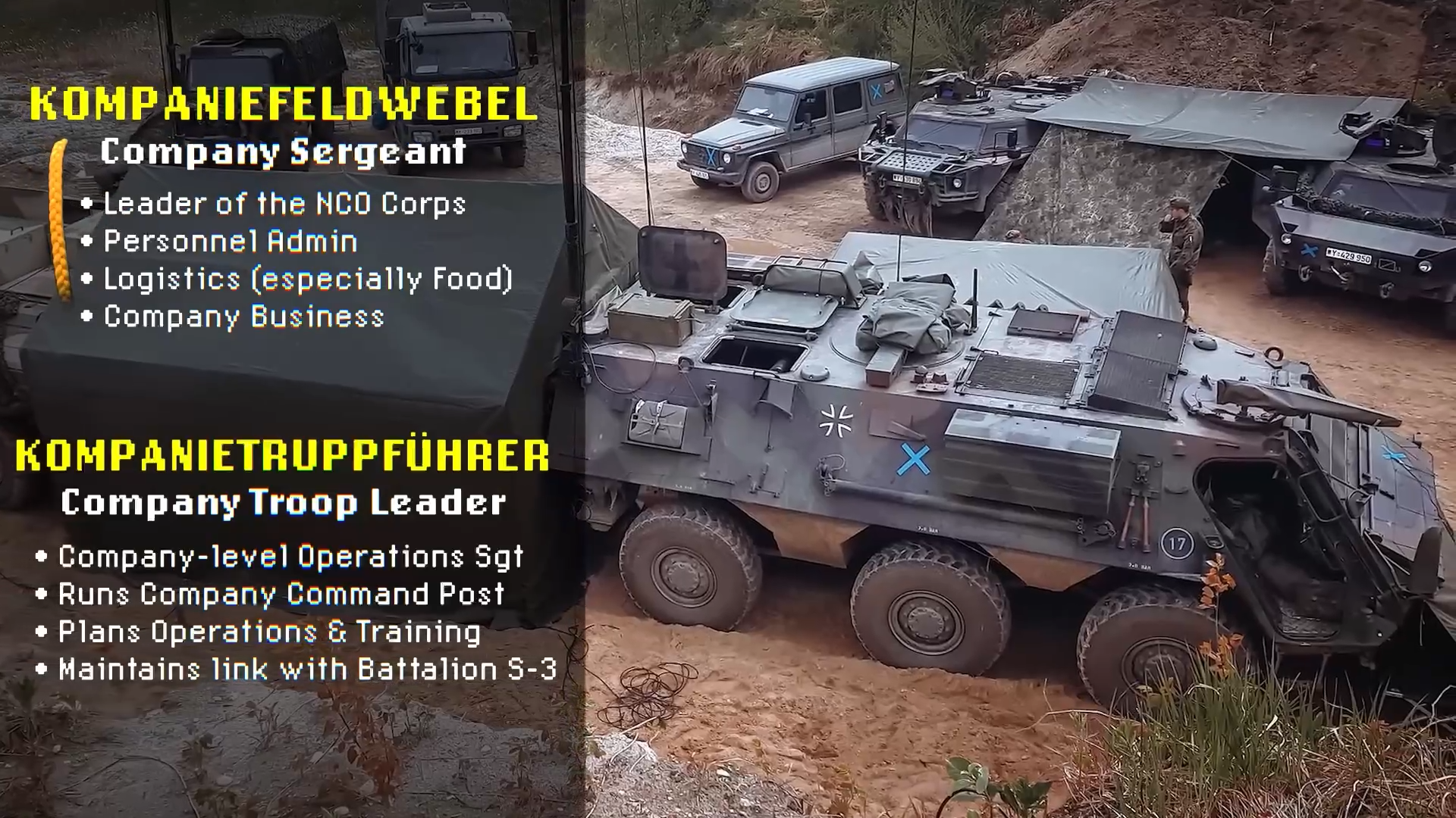 Organization, crew structure, and battalion deployment of German ...