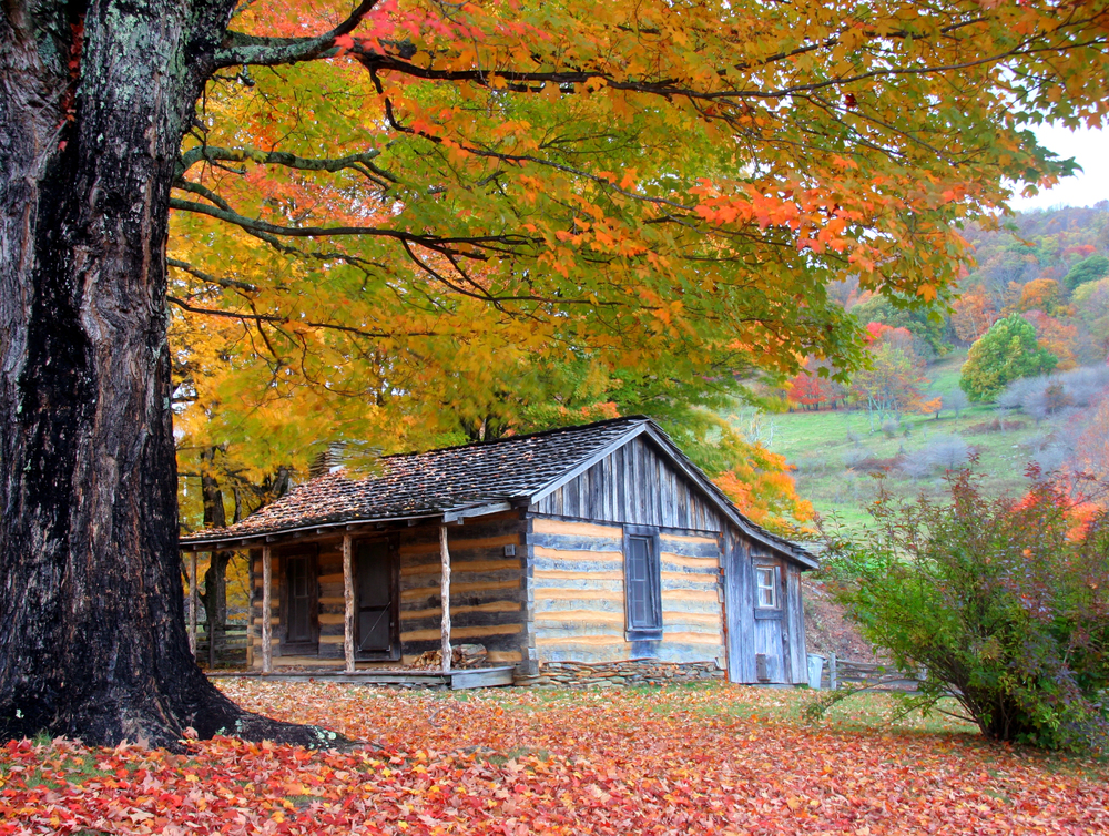 Family-friendly cabin trips under $800