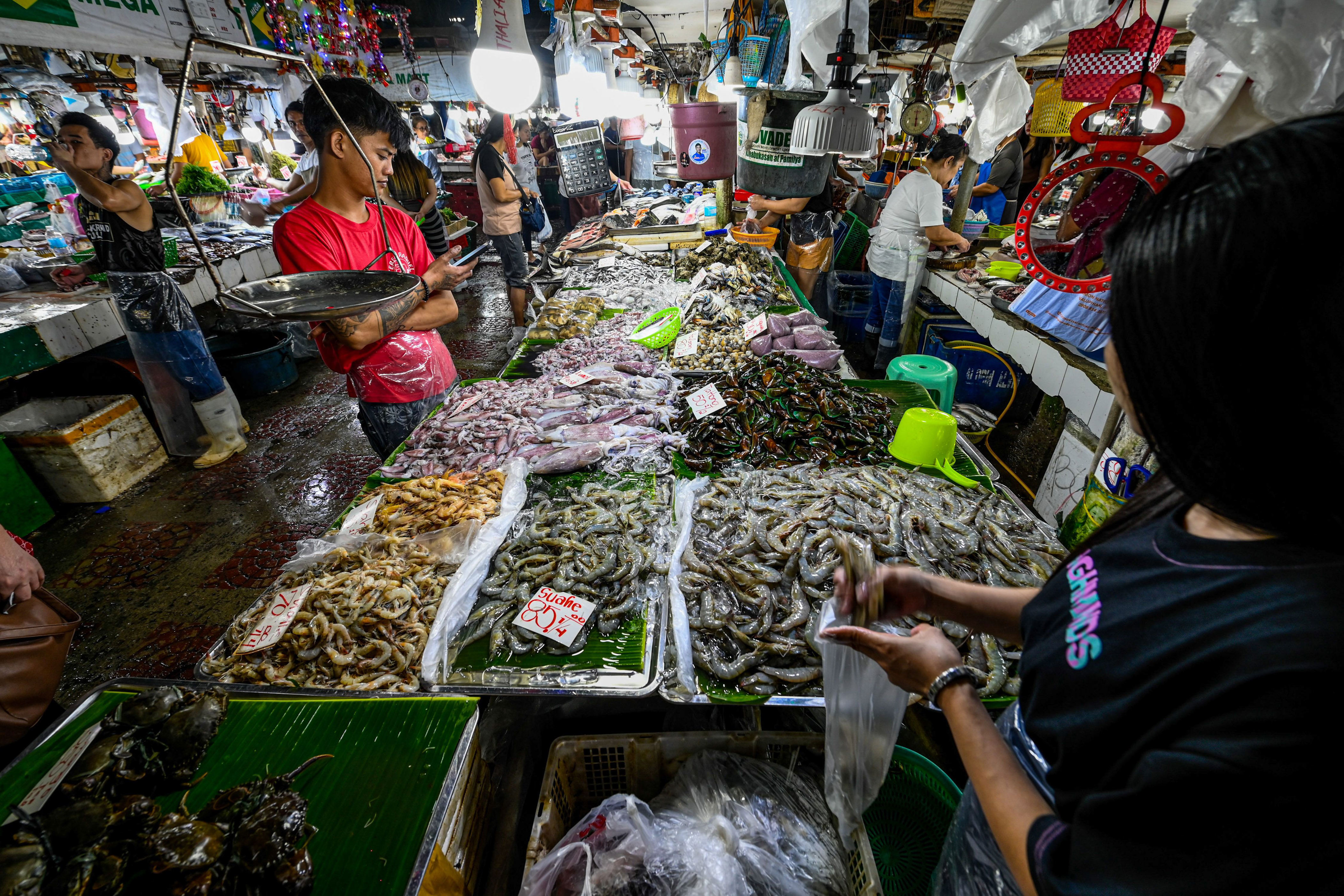 No request yet for SRP adjustment from major manufacturers of basic ...