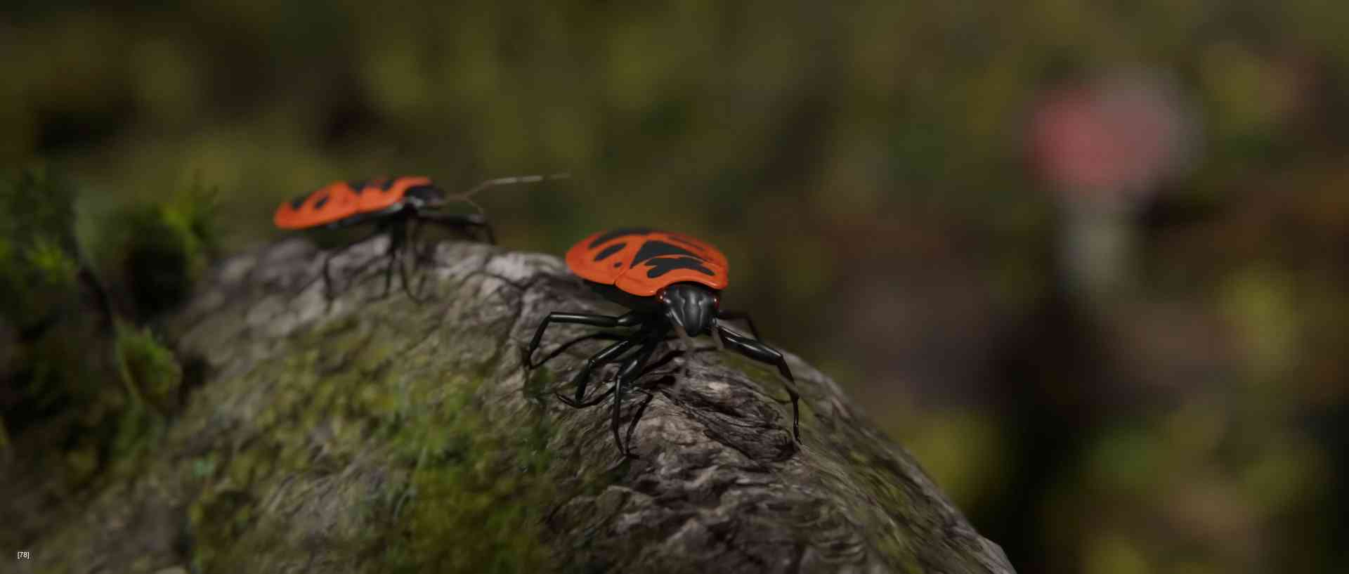 What radiation did to Chernobyl’s animals