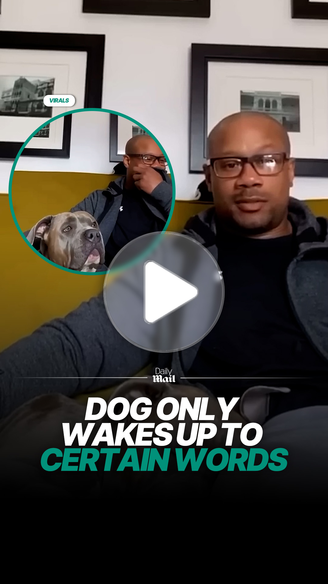 Dog only wakes up when he hears certain words