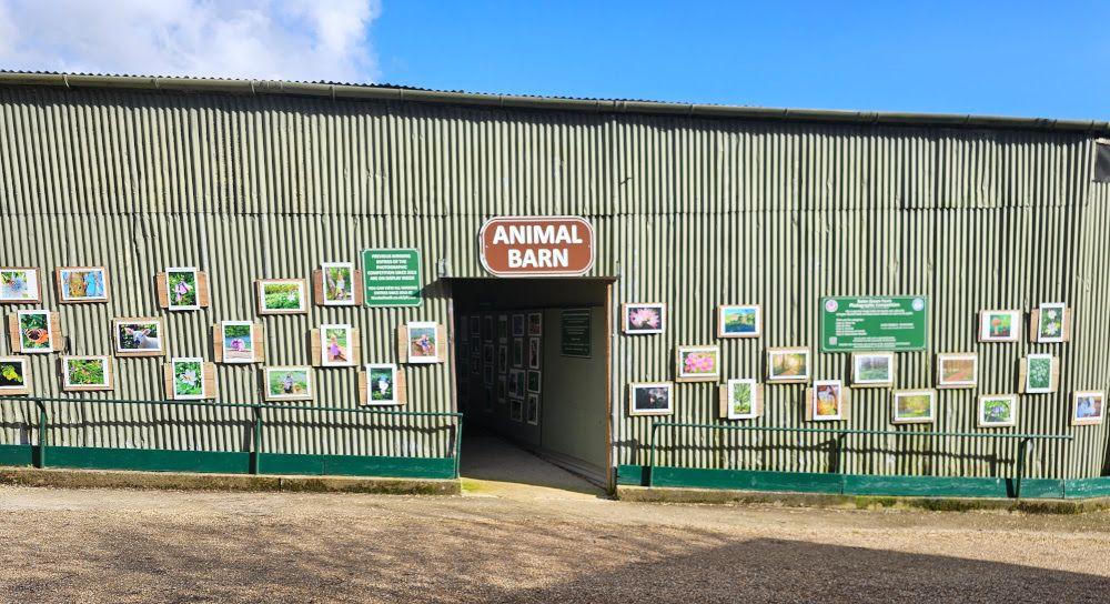 Upper and Lower Dicker village news