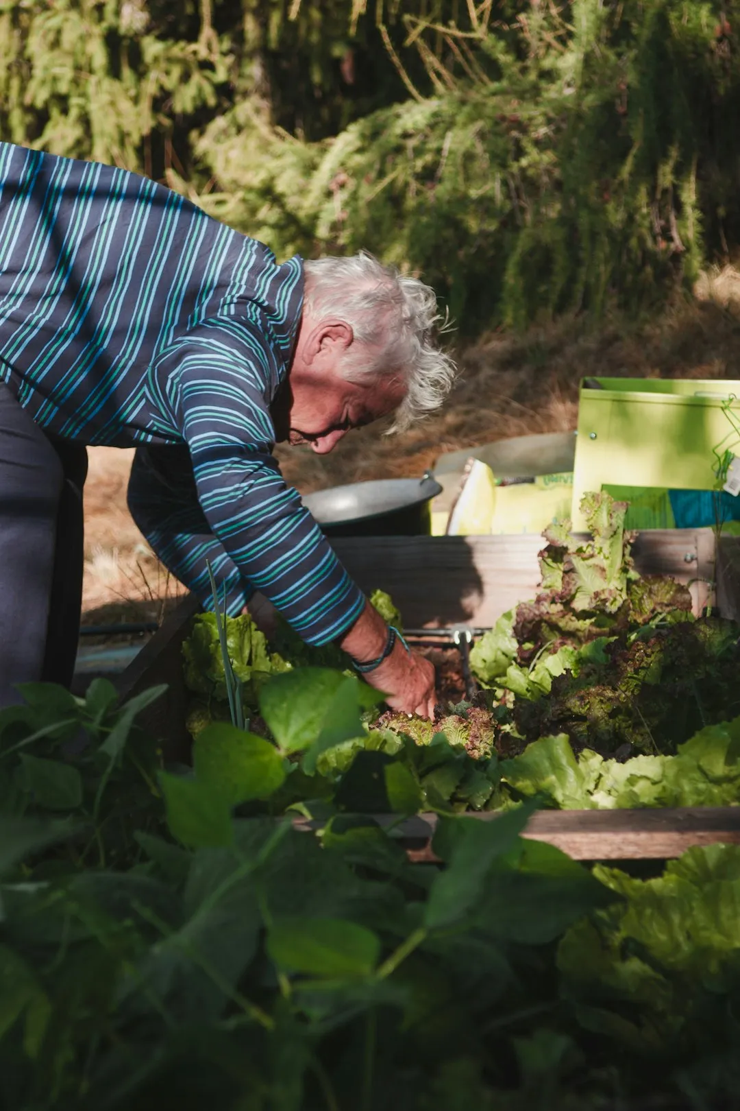 10 life lessons grandparents pass on that kids remember forever