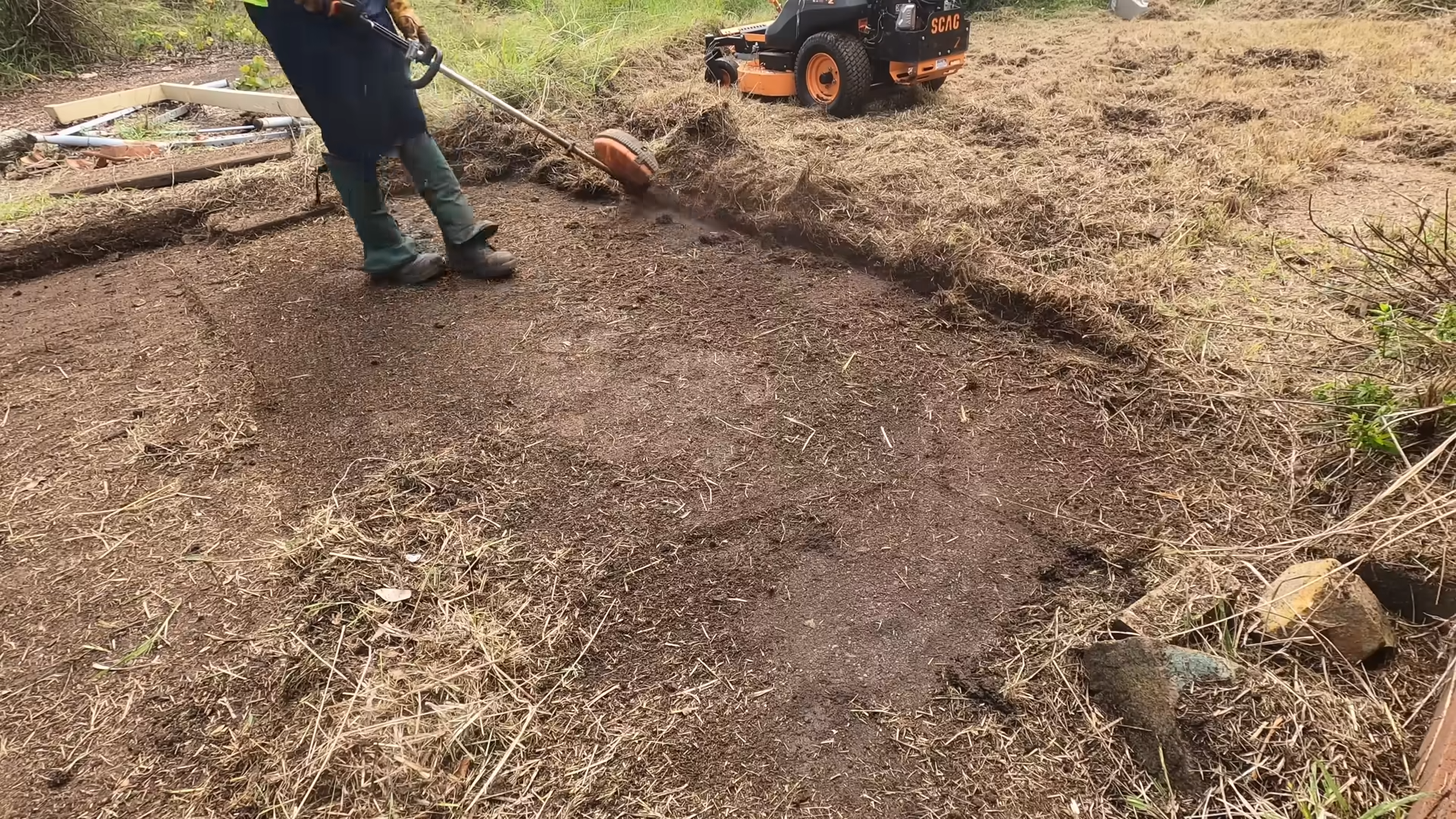 Fixing up a yard that's been overgrowing for 8 years straight