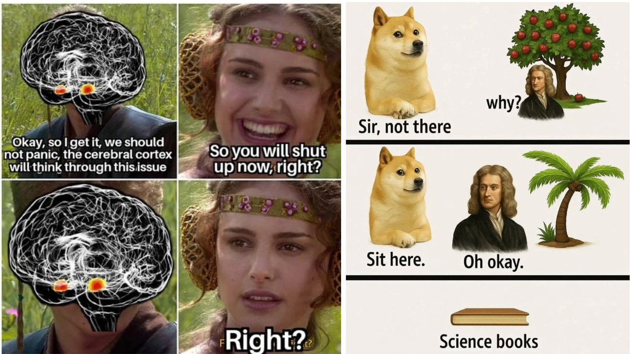 30 memes that only smart people will fully appreciate