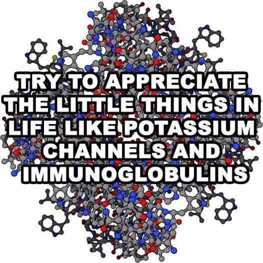 30 memes that only smart people will fully appreciate