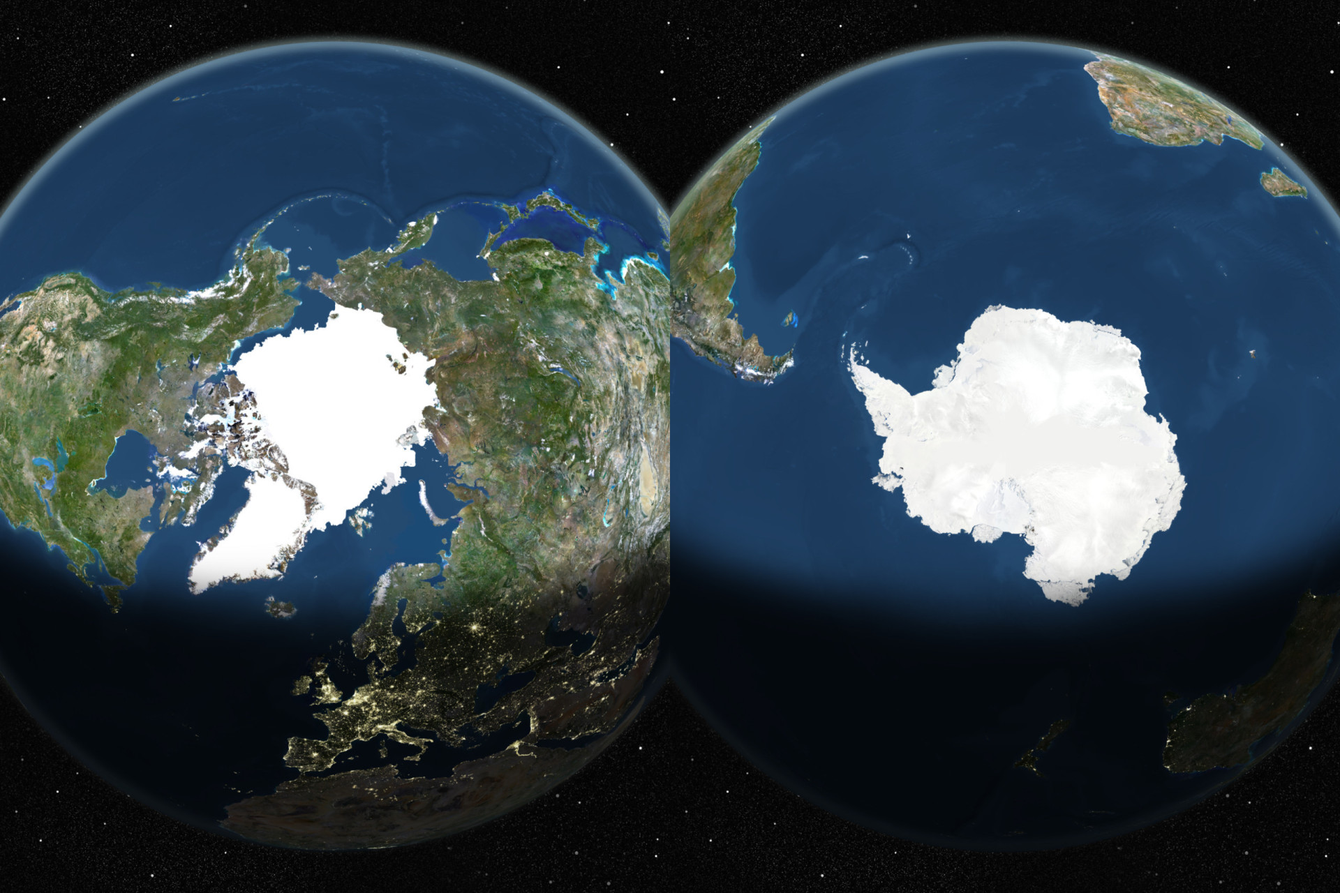 Differences between the Arctic and the Antarctic