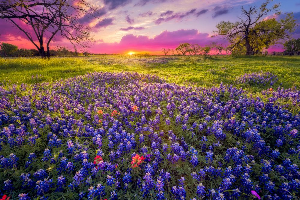 15 distance and logistics mistakes people make on Texas road trips