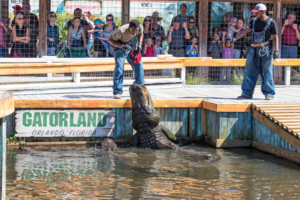 16 family activities in Orlando beyond theme parks