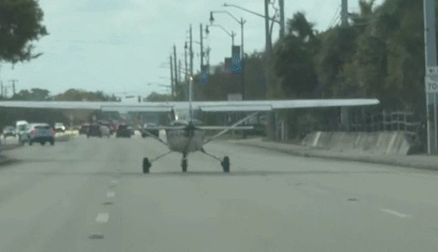 'Wild': Pilot forced to land plane on busy Florida road
