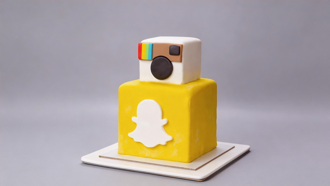 Social media camera icon cake