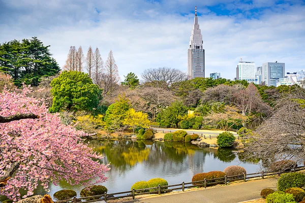 These 5-star train journeys redefine travel