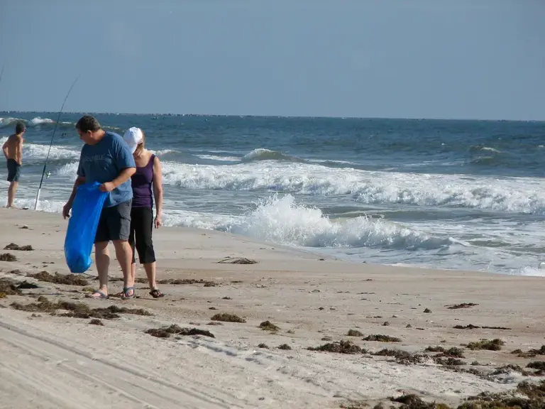 Record sargassum seaweed surge could disrupt Caribbean and Florida ...