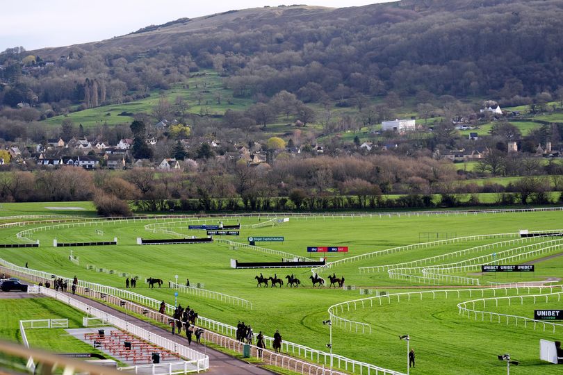 Cheltenham Festival tragedy as second horse dies as ITV make sad ...