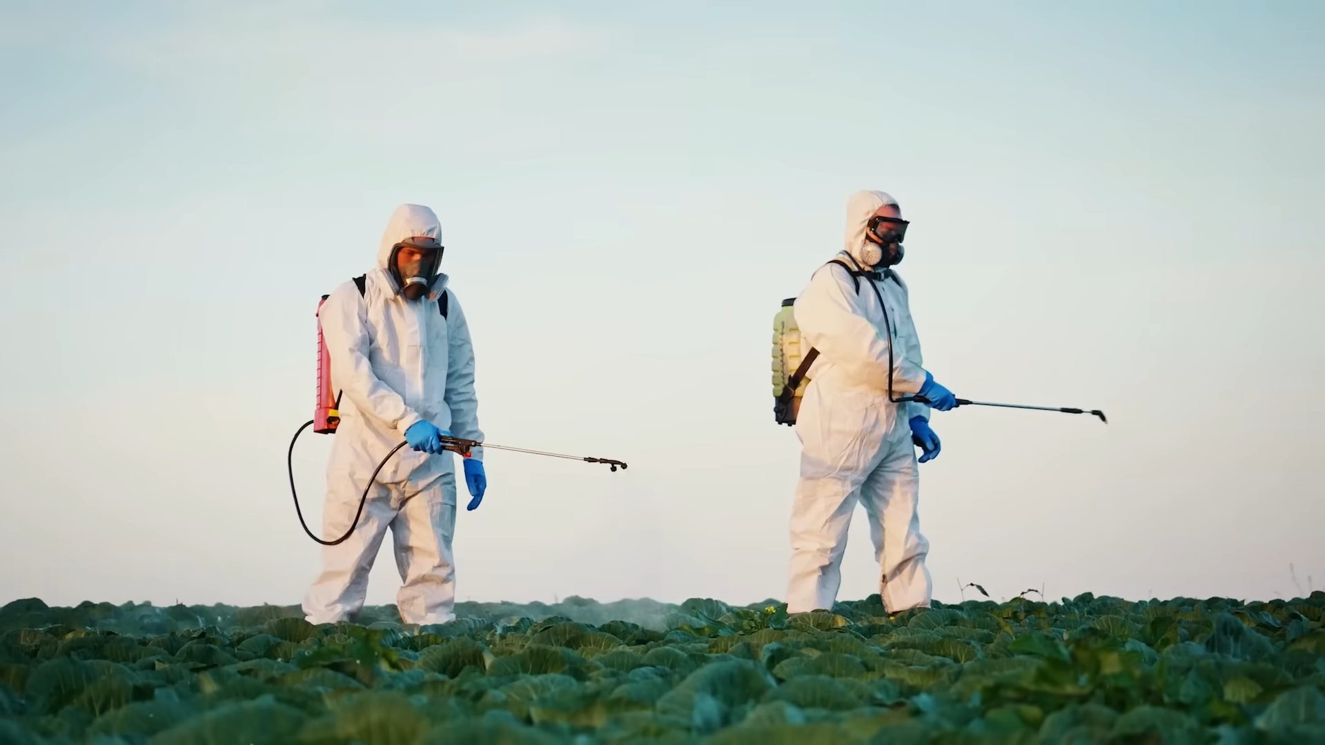 Workers opened 20,000 toxic drums and let the waste soak into the ground