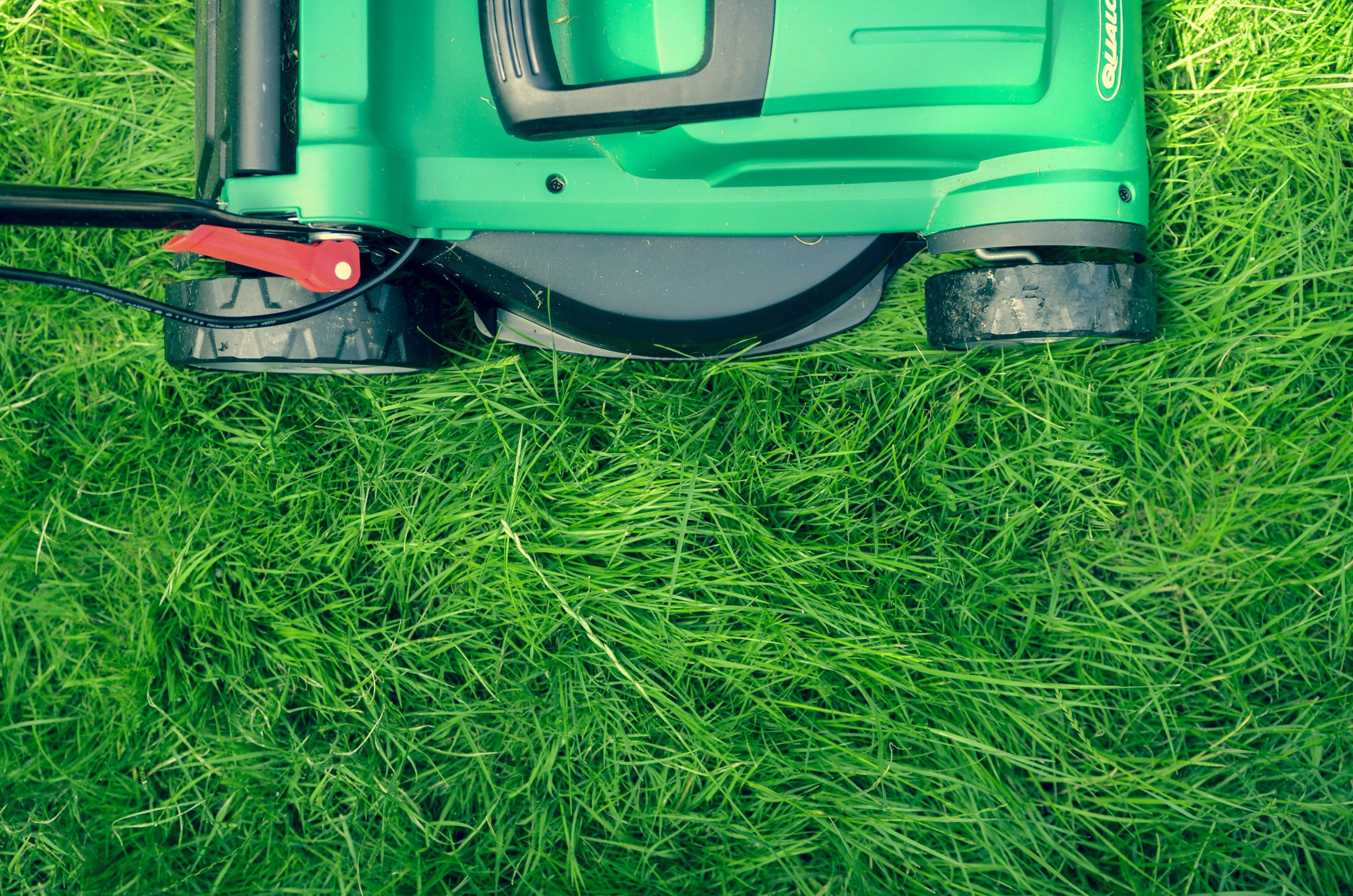 15 lawn care tips you need