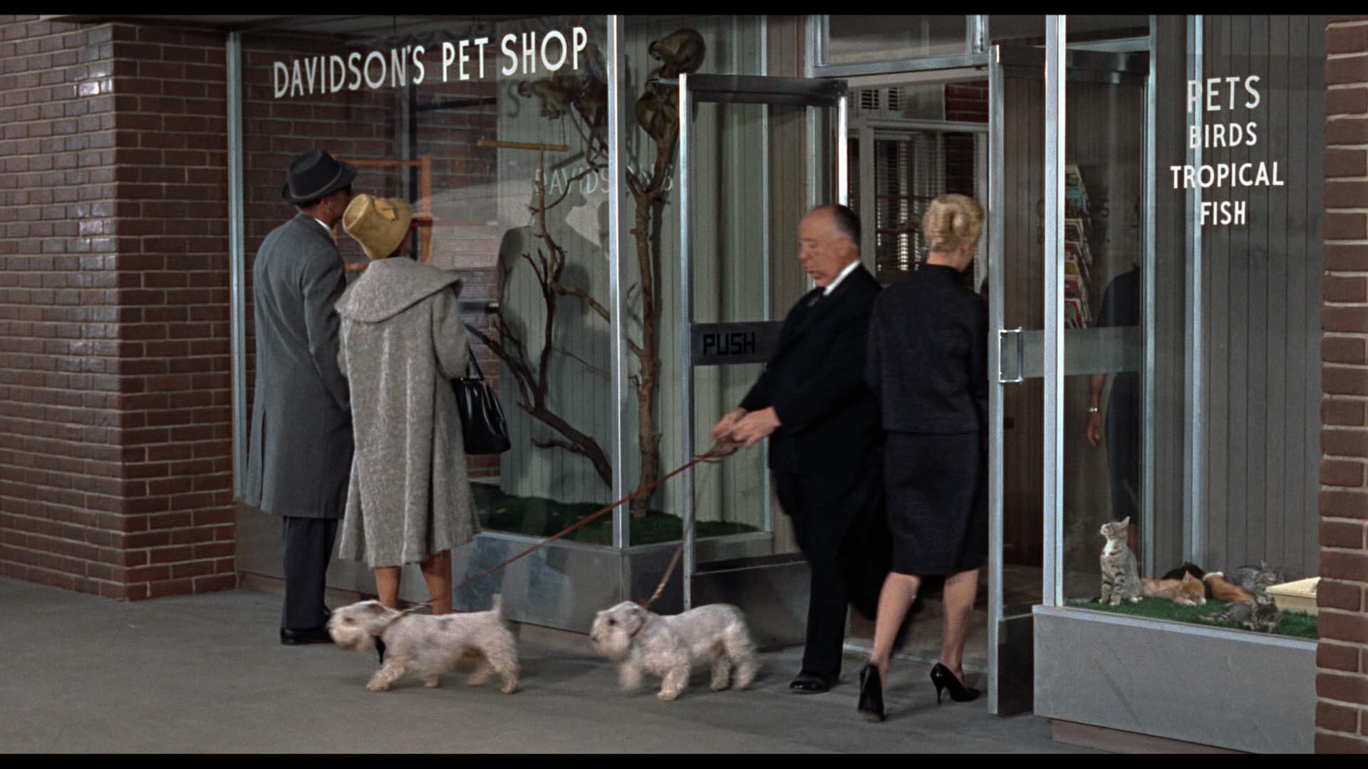 22 scenes where Alfred Hitchcock stepped into his own films