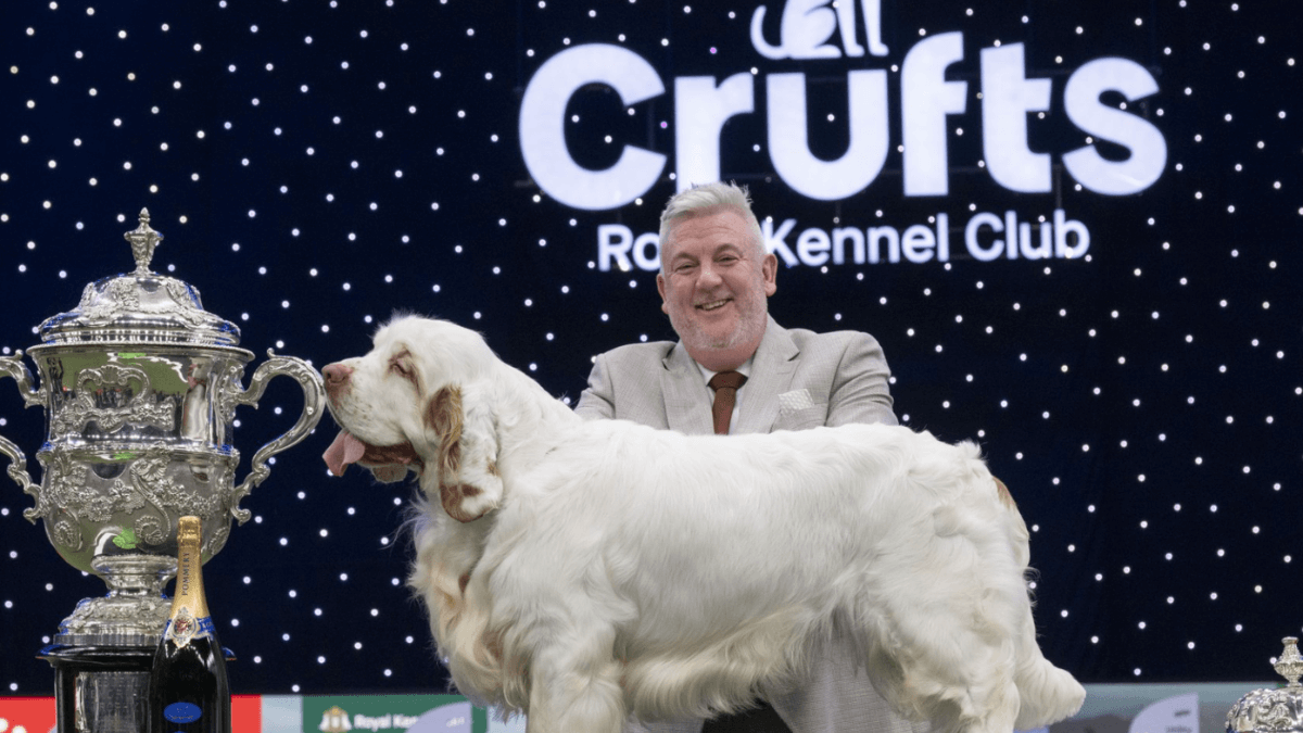 Crufts winner convicted of animal cruelty after dog found in 'shocking ...