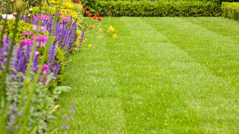 Don't overseed your lawn until you've done this crucial thing – it's ...