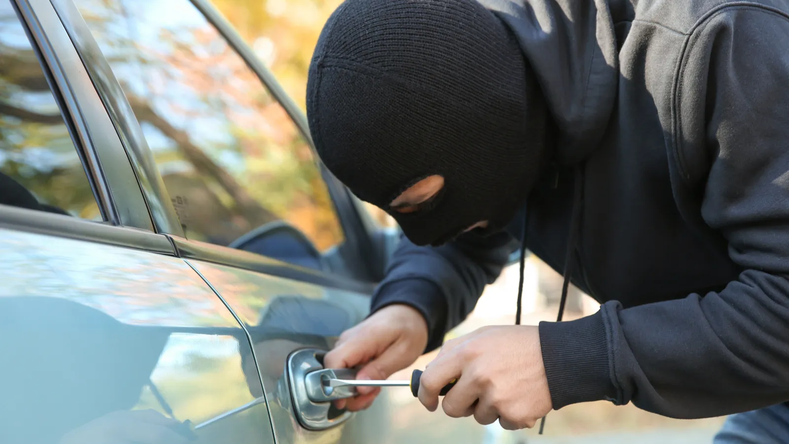 These vehicles attract thieves relentlessly while national theft rates ...