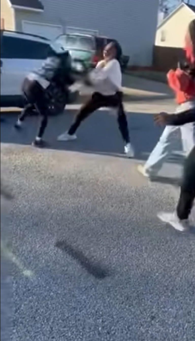 Girl, 12, dies after savage fight with fellow student at school bus ...