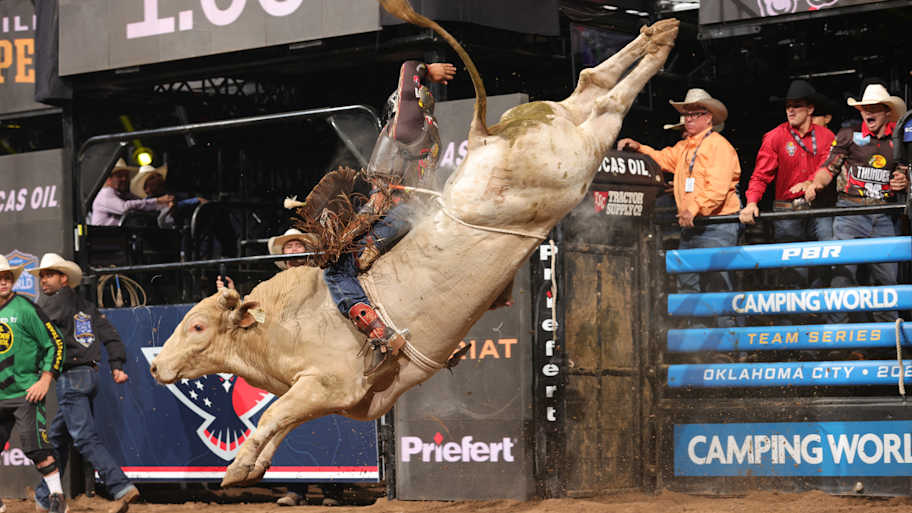 The bull that made them better: Man Hater’s legacy