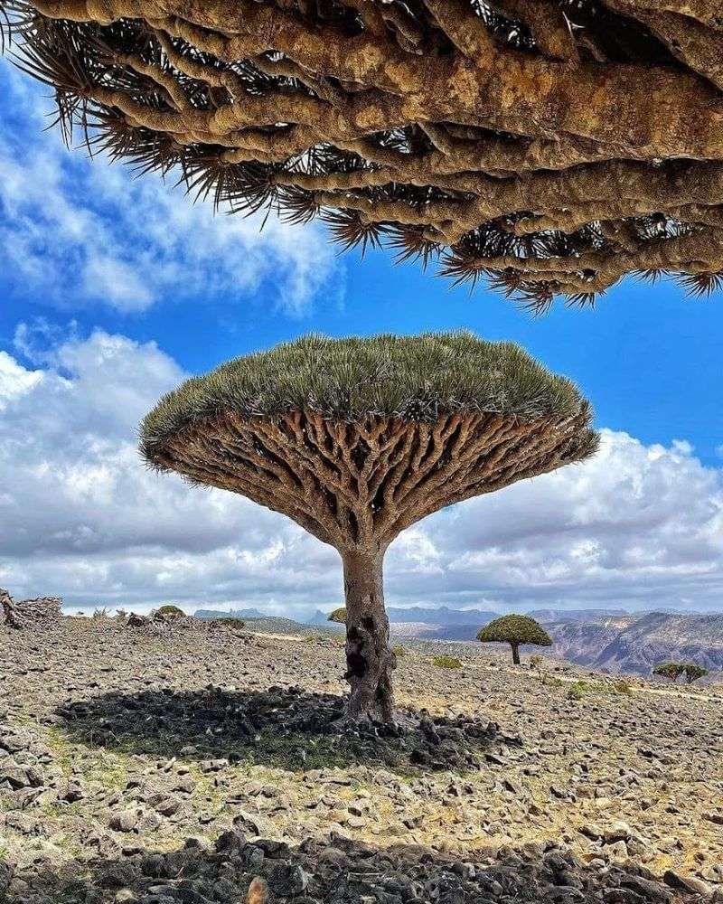 15 best hidden places on Earth for true adventure seekers