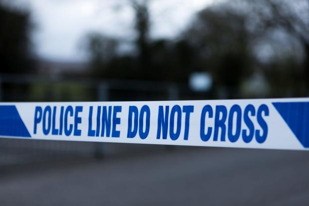 Murder investigation launched after body of woman in her 80s found near ...
