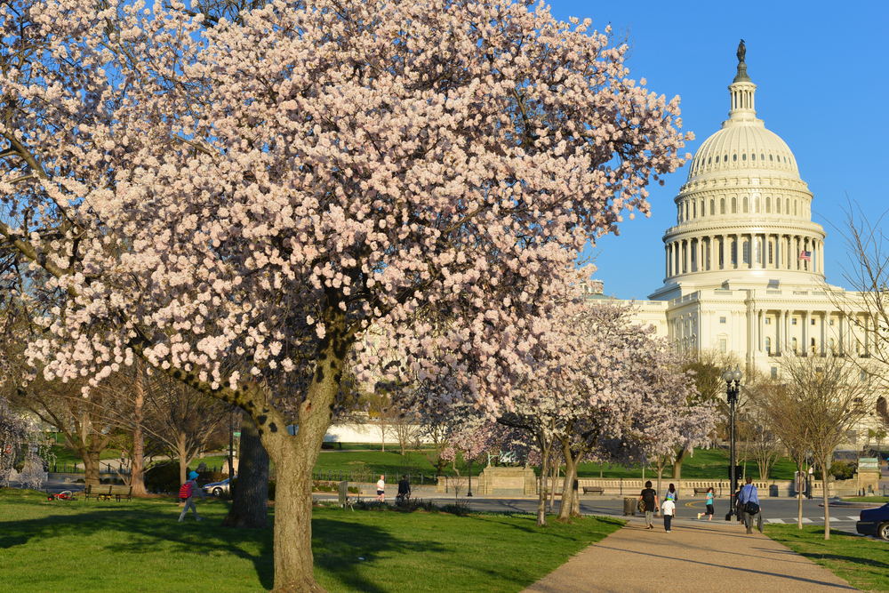 15 spring break trips for toddlers with stroller friendly paths and ...