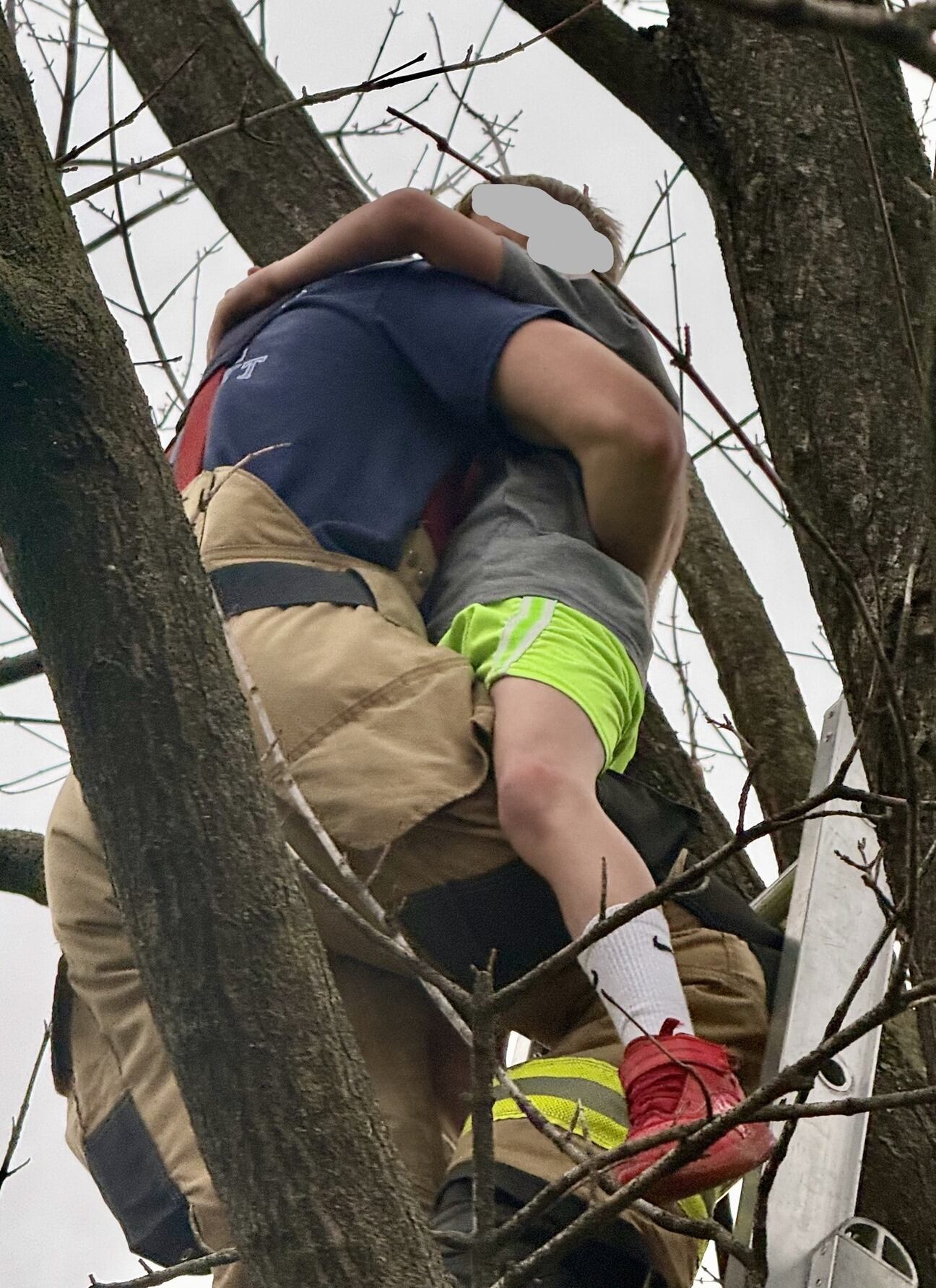 Middle TN firefighters rescue child stuck in tree