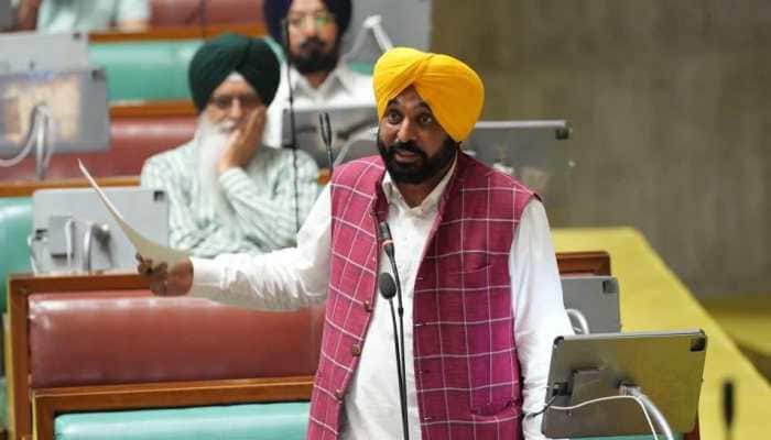 Trade deal with United States will ruin farmers of Punjab & country: CM ...
