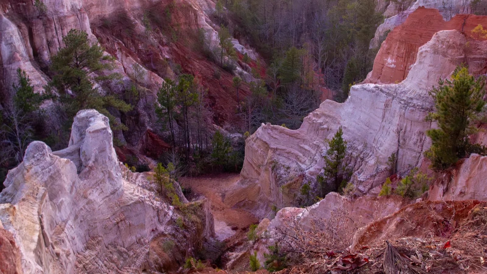 Deep cliffs and sweeping views make Georgia’s Little Grand Canyon a ...