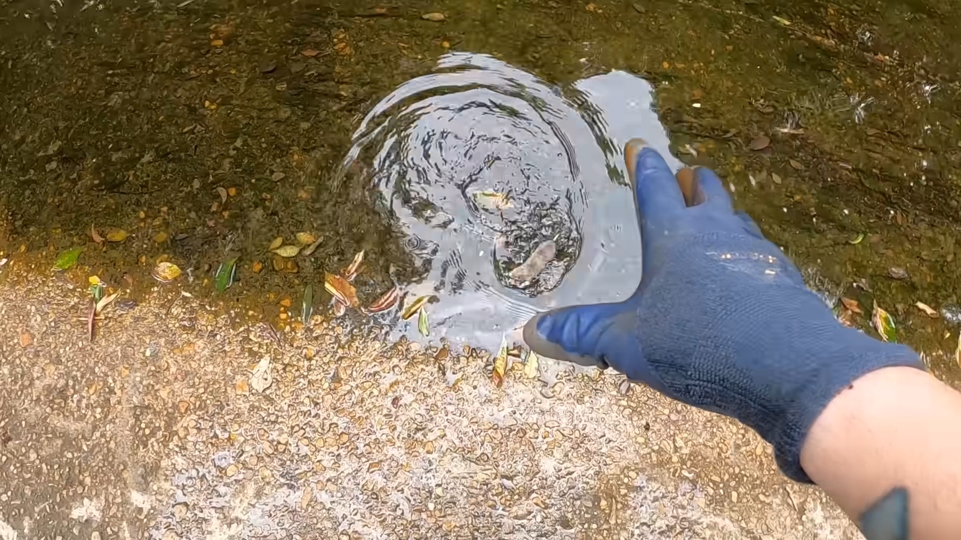 They found 20+ weapons in a canal - then something started moving in ...