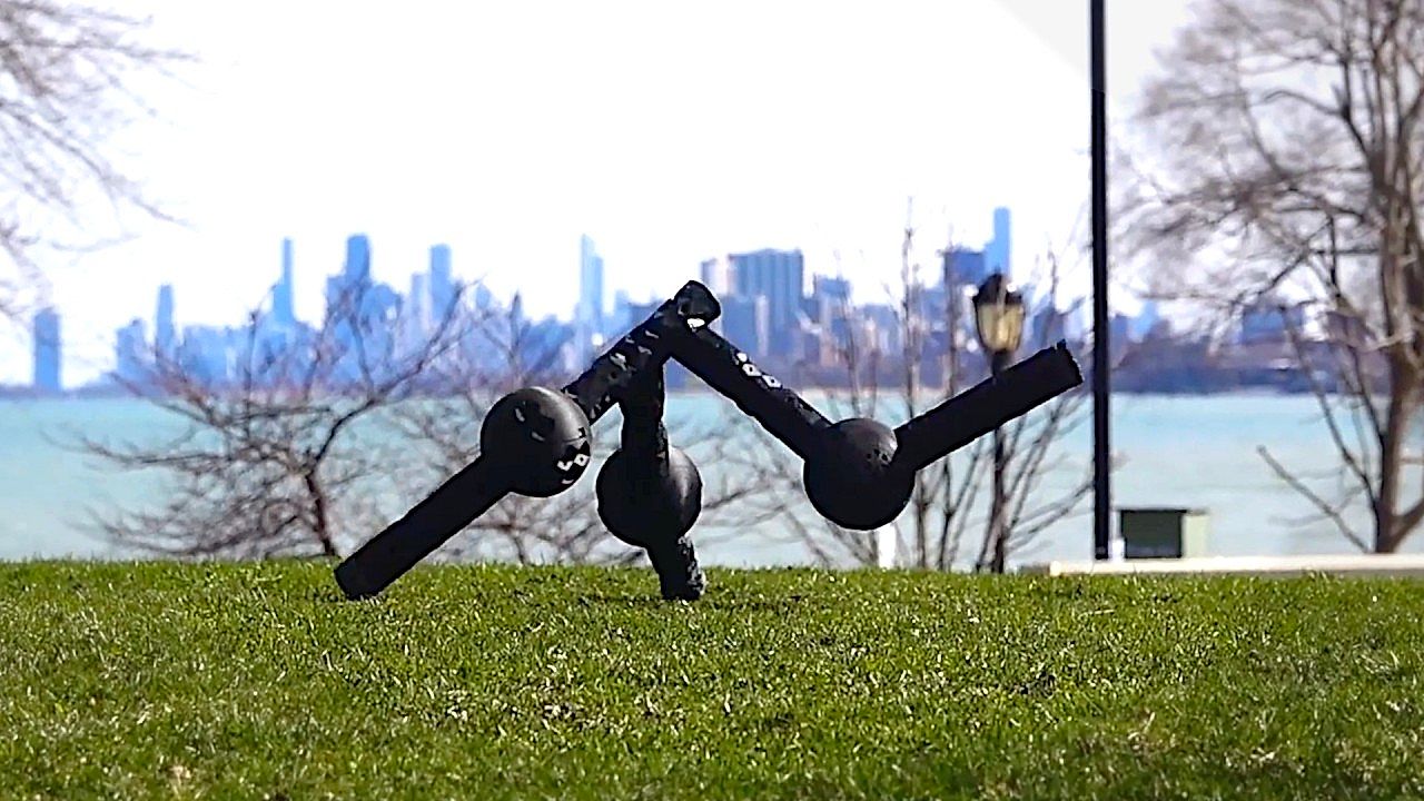 AI-designed robots adapt and survive damage with Lego-like modules