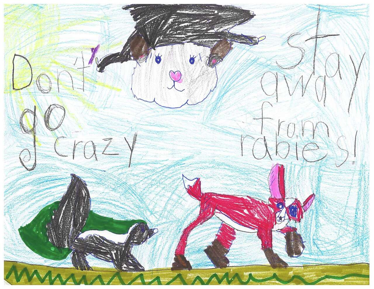 Students invited to enter statewide rabies awareness poster contest
