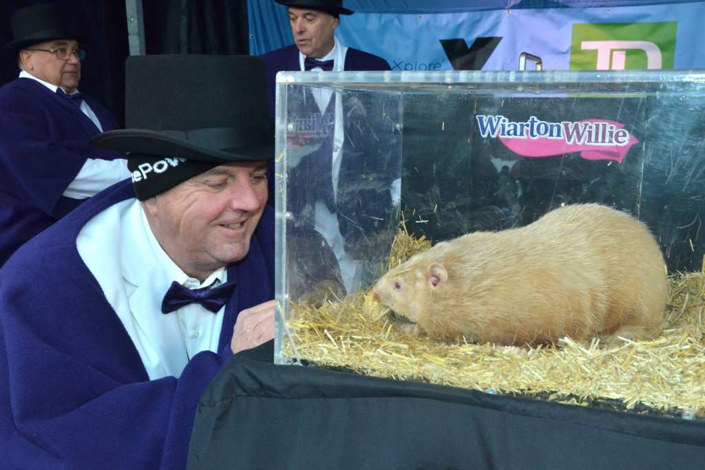 Wiarton Willie, Ontario’s famous groundhog, has died: town